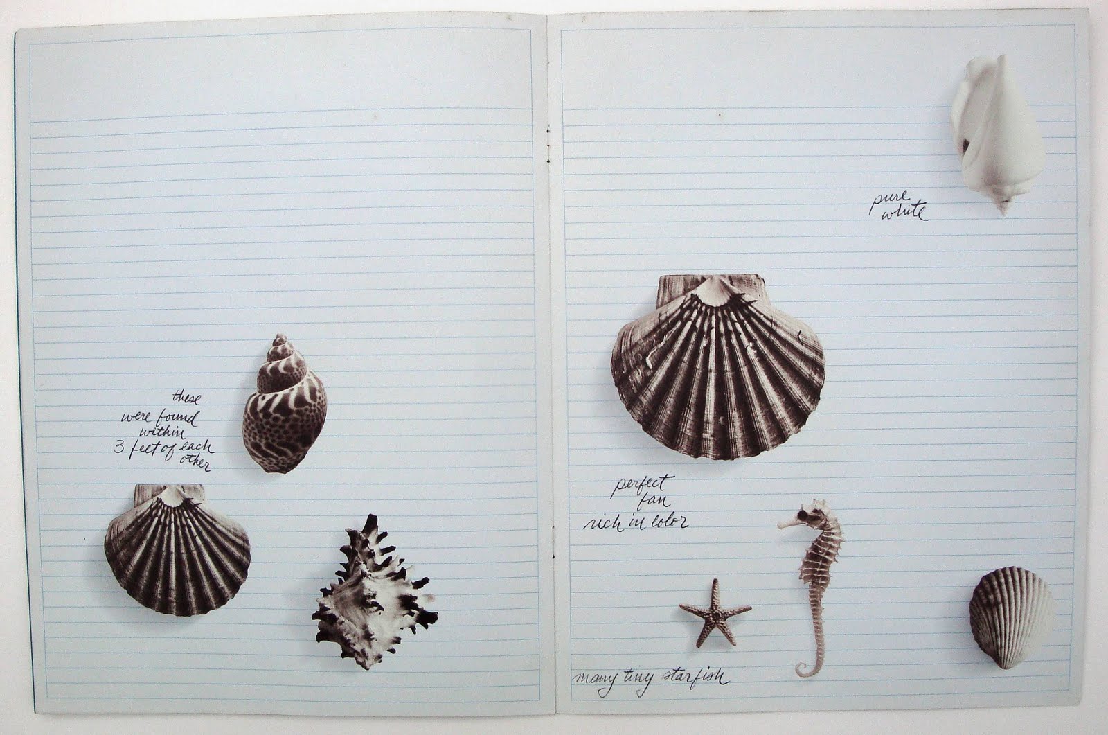 Past Print: Broad Spectrum / Issue 1 / 1962 / Simpson Lee Paper