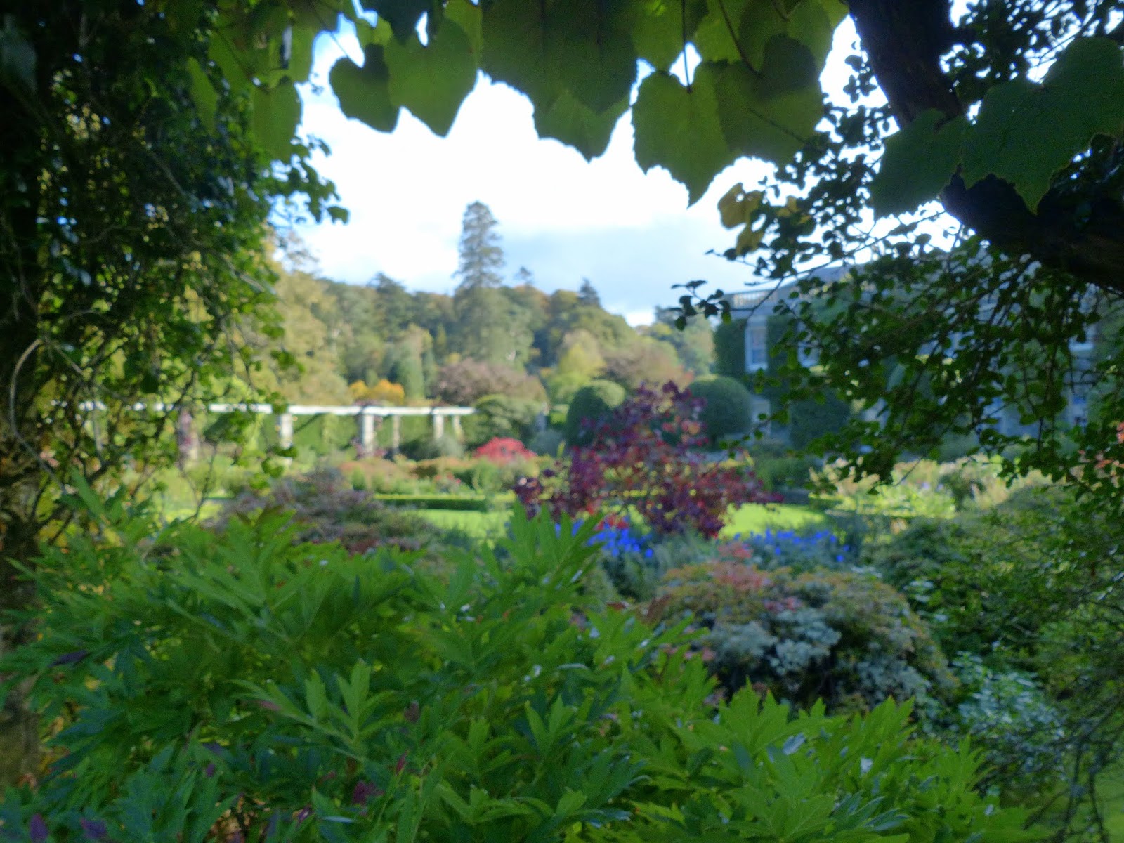 Birding For Pleasure: THROUGH MY LENS - Walk with Neil Porteous at ...