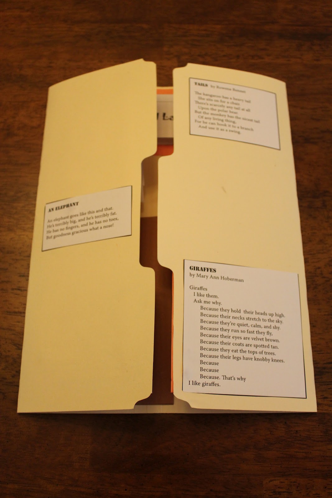 Texas Homemaking: Homeschooling :: A Doctor Doolittle Lapbook