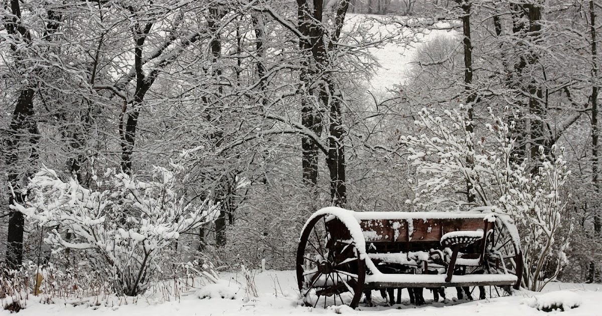 Tymes Past : Where did Spring go???