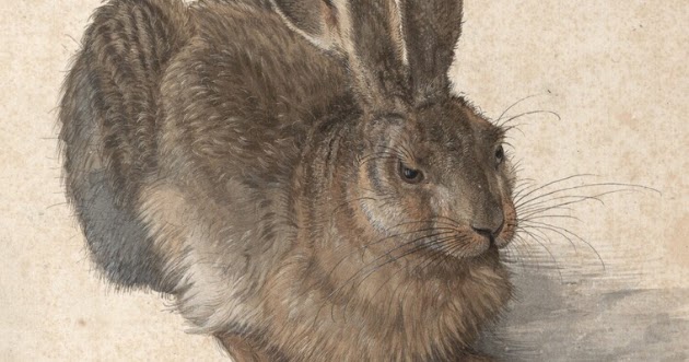 Estudio de Arte Orzán: Museo Albertina de Viena