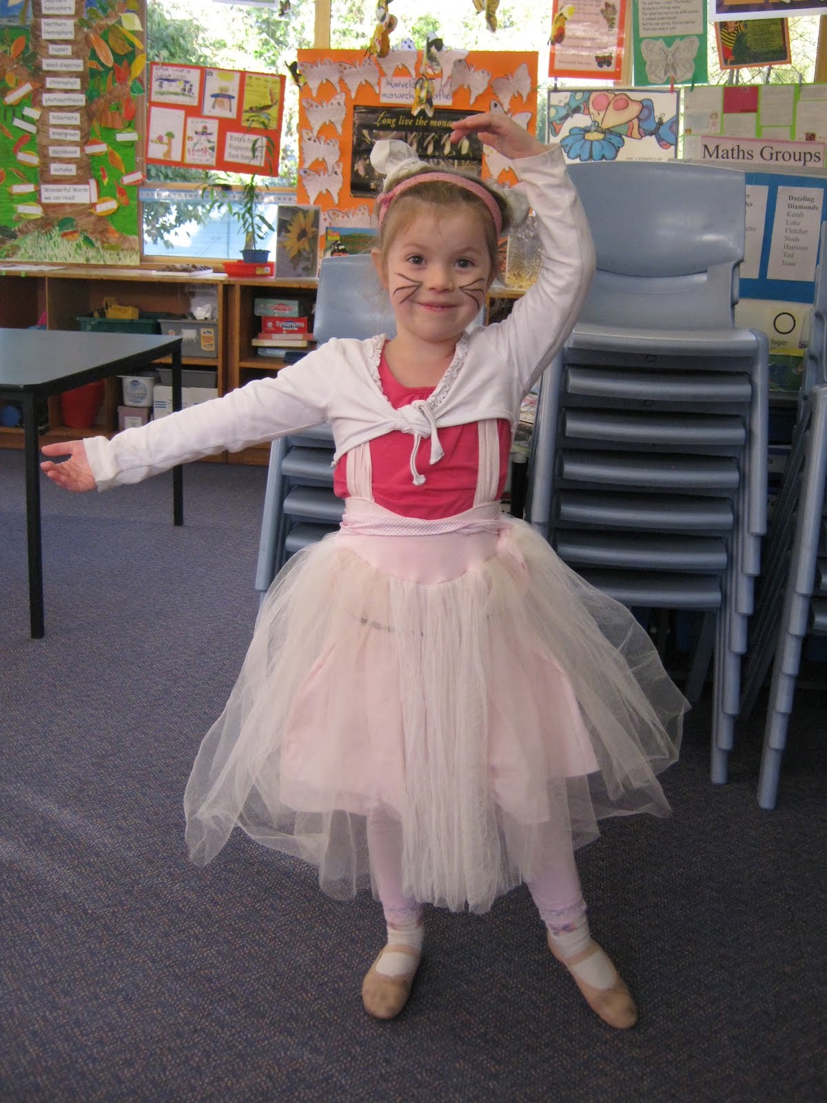 Room 9 you shine all the time: Story book dress up day!