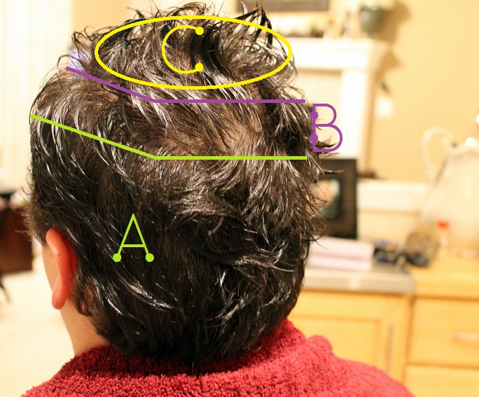 Katie.J.Gibson: Frugal Home Series Part 6: How to Cut Men's Hair