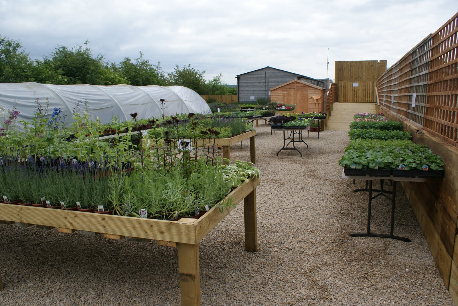 Croots Farm Shop in Derbyshire blossoms with the opening of a plant ...