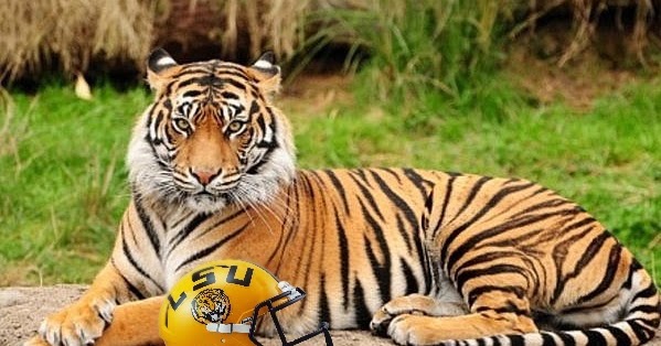 Diogenes' Middle Finger: Someone Say Football?