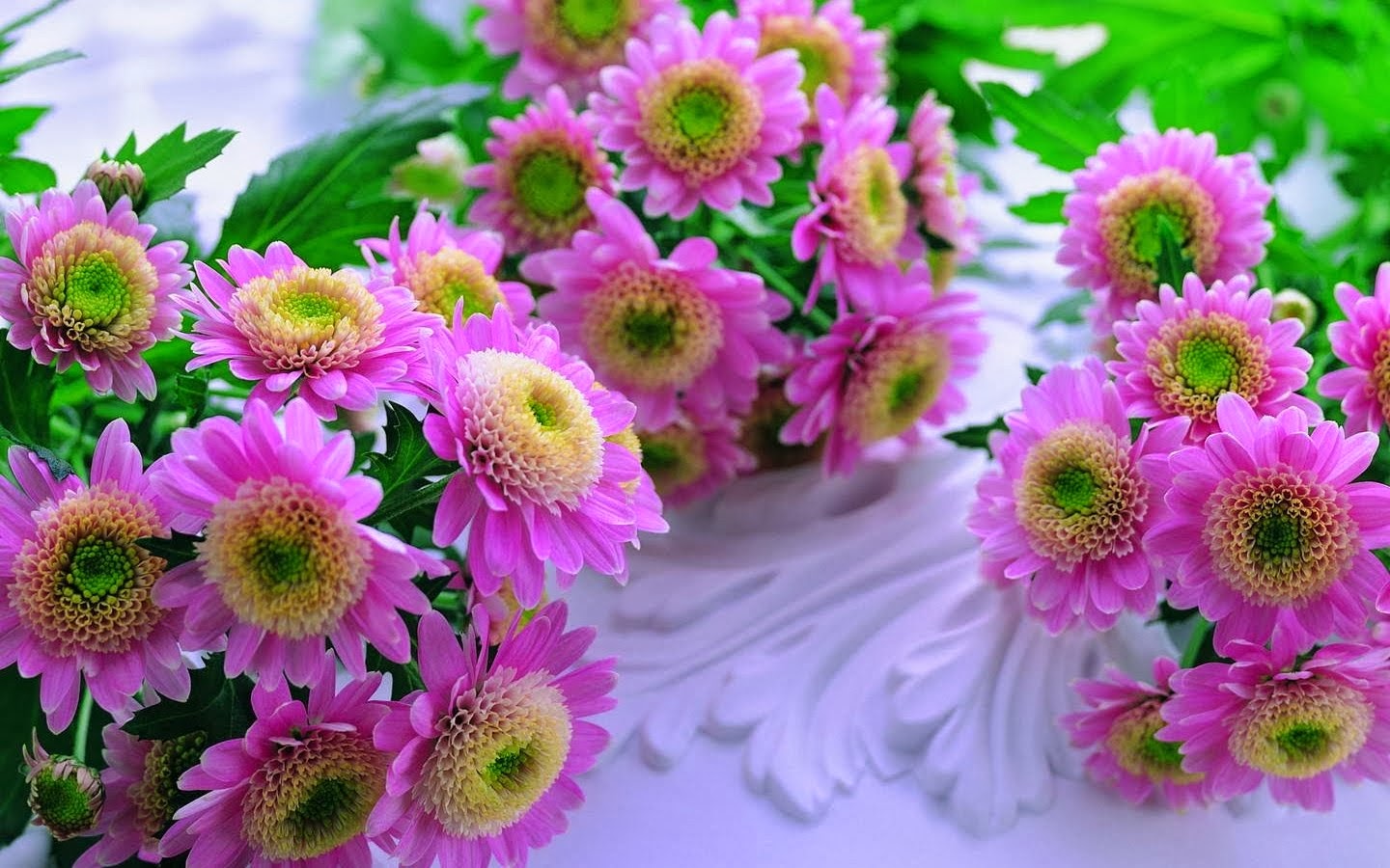 True Flowers Wallpapers | Beautiful Flowers Wallpapers