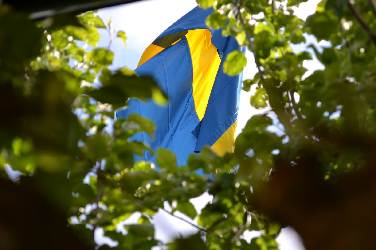 Annehem: Sveriges nationaldag