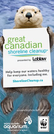 Green Life - shoreline cleanup