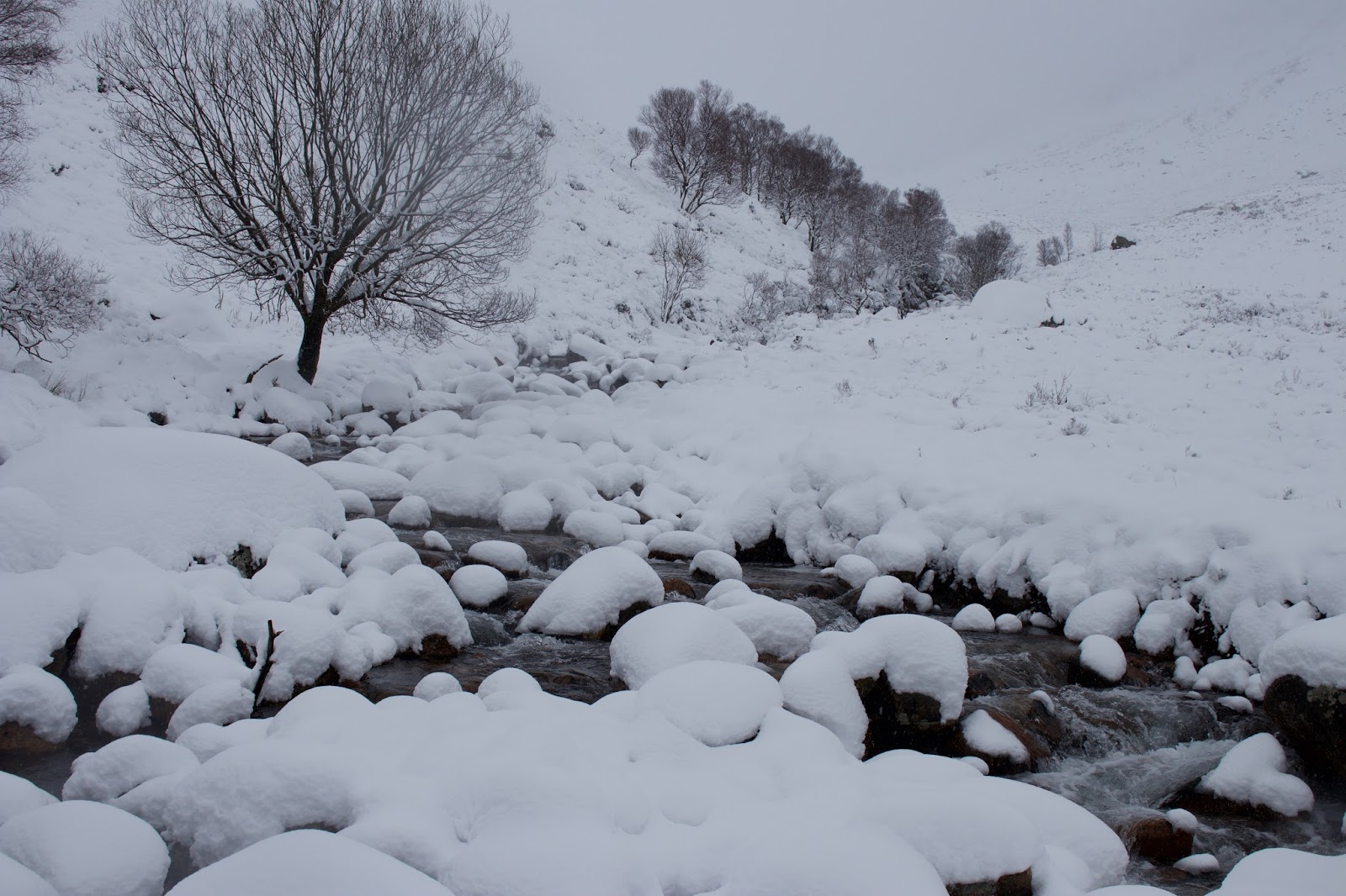 Ellis Hickson Component 2: Marcus McAdam and Brandon Seidler