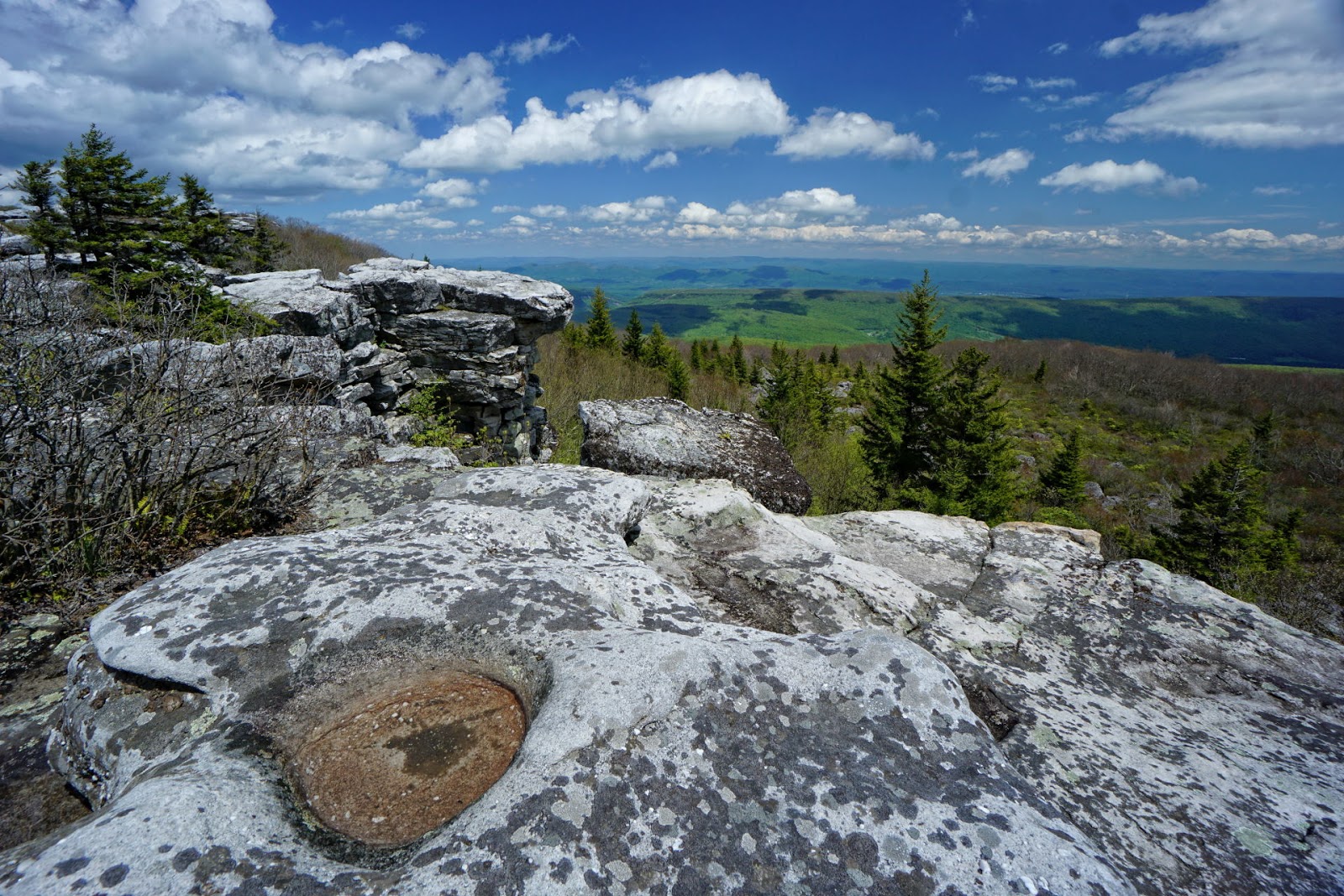 Discover West Virginia: Bear Rocks: Dolly Sods’ Sculpture