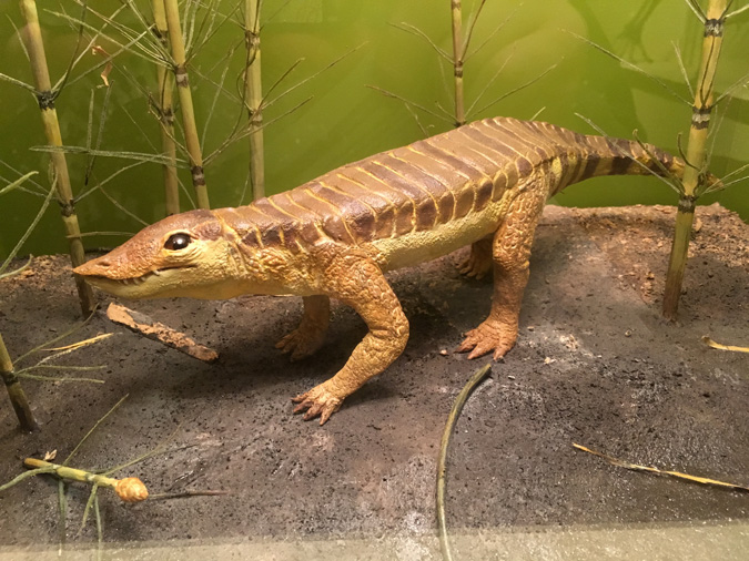 Dilophosaurus Bard: Land Crocodiles of the Mesozoic- Director's Cut