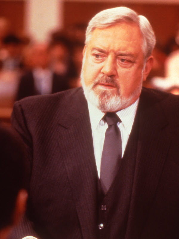 CINETV NOSTALGIA DVD PAULO TARDIN: SÉRIES DA TV - PERRY MASON