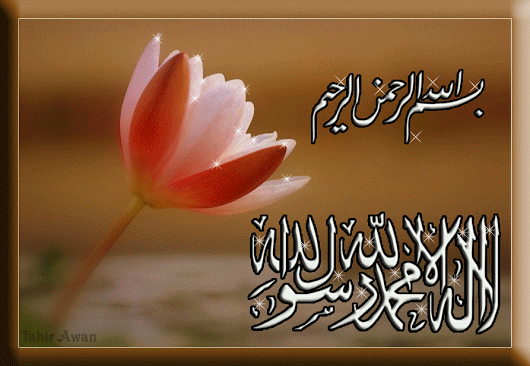IrfanAjiz Bismillah In GIf irfanajiz-bismillah-in-gif