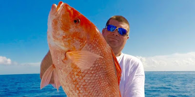 Red Snapper Length Weight Chart - Frozen Red Snapper, Red Snapper ...