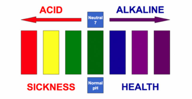 Bikram Yoga Retreat: What does it mean to be alkaline anyway? and why ...