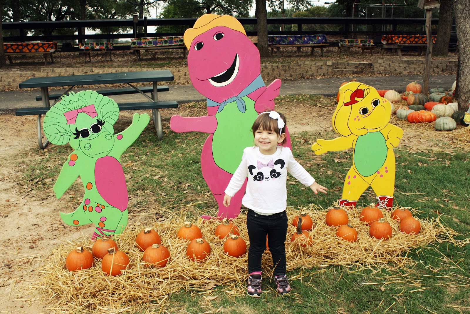 Life from beyond the Hills: It's Fall!