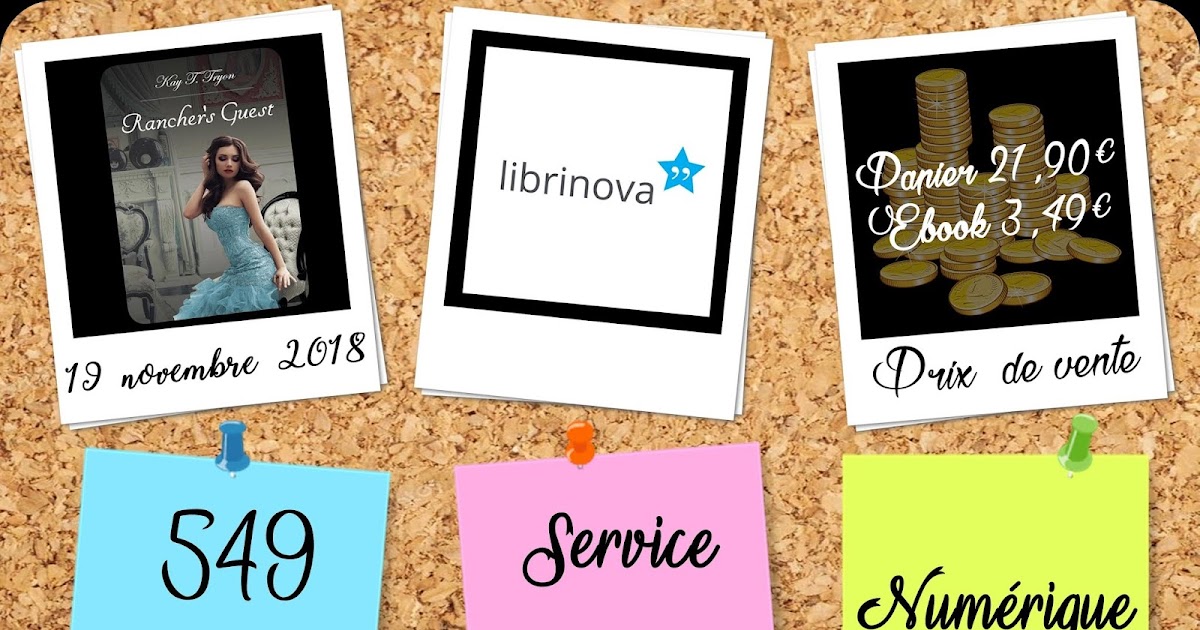 Un peu de lecture: Rancher's guest de Kay T. Tryon