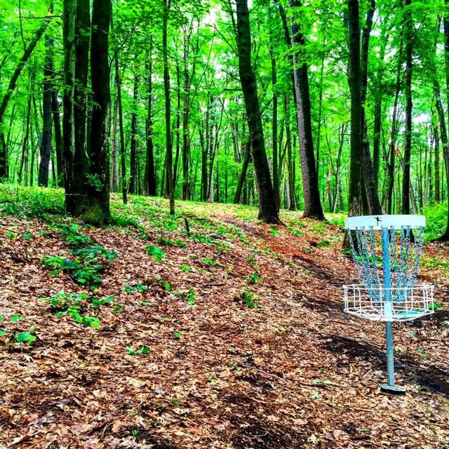 Dynamic Course Design Feature - The Hollows in Manchester, NH | Disc ...