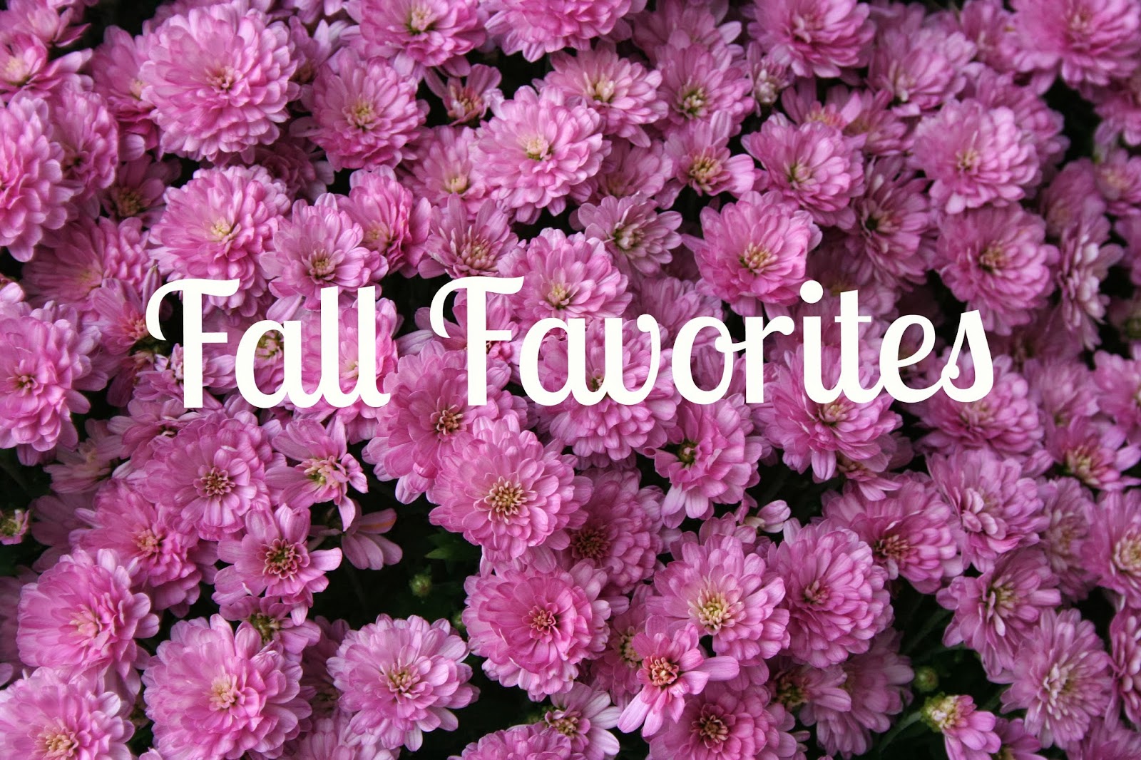 The Nolte Fam: Fall Favorites