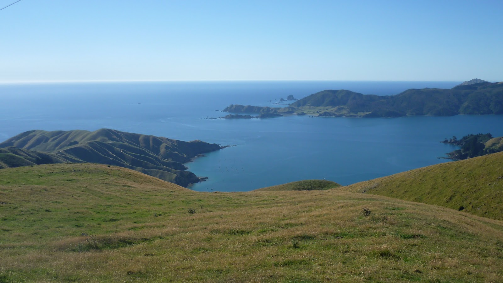 New-Zealand Adventure: Tondre des lamas à Cissy bay