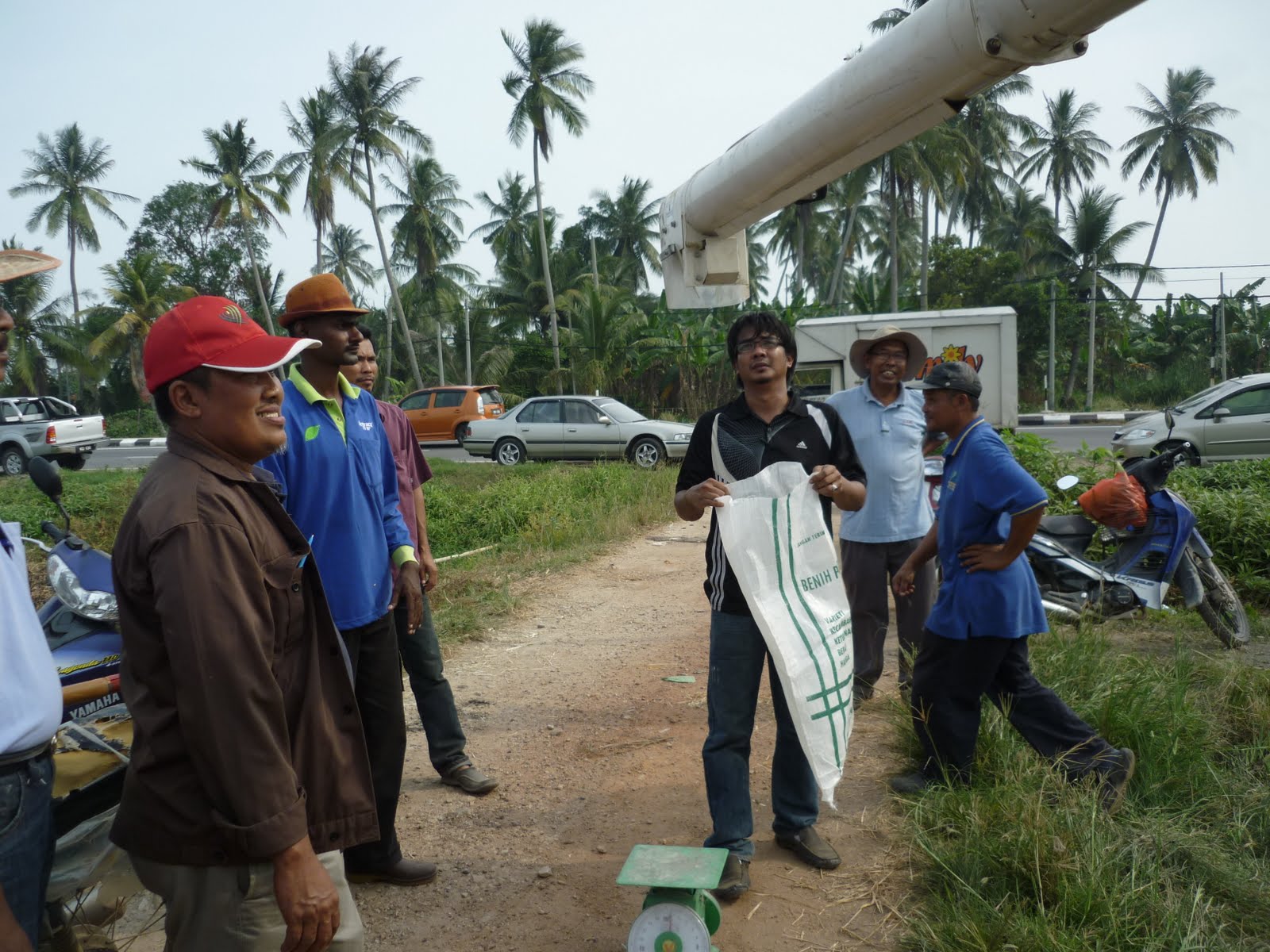 SRI Padi Malaysia: A Harvest Test to Verify Presence of Variability in ...
