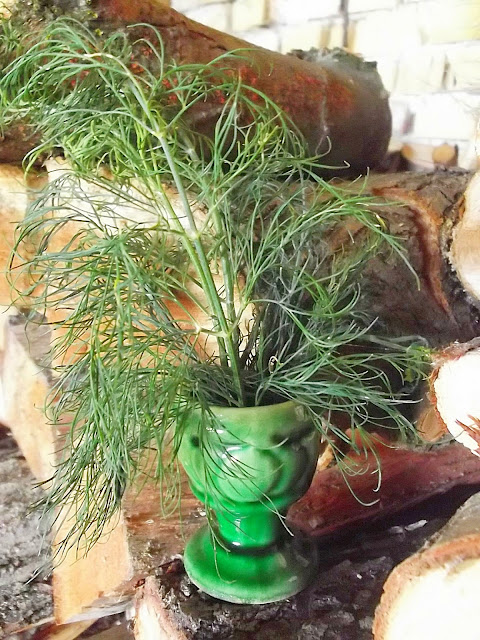 Astal Kuhinja Ravnice: Domaci sos od Mirodjije