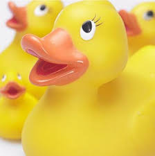 Scritto sull'acqua: Il lungo viaggio delle papere gialle