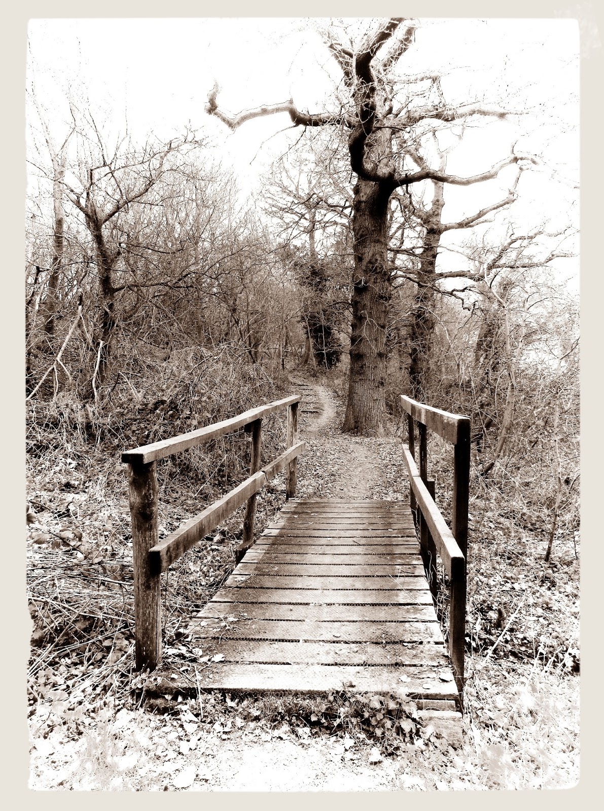 Walking with Henry David Thoreau in mind and a "prayer" of Heidegger's ...