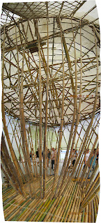 Spontaneous Architecture: Asee group - learning from the nature - Present Bamboo & Common Reed ...
