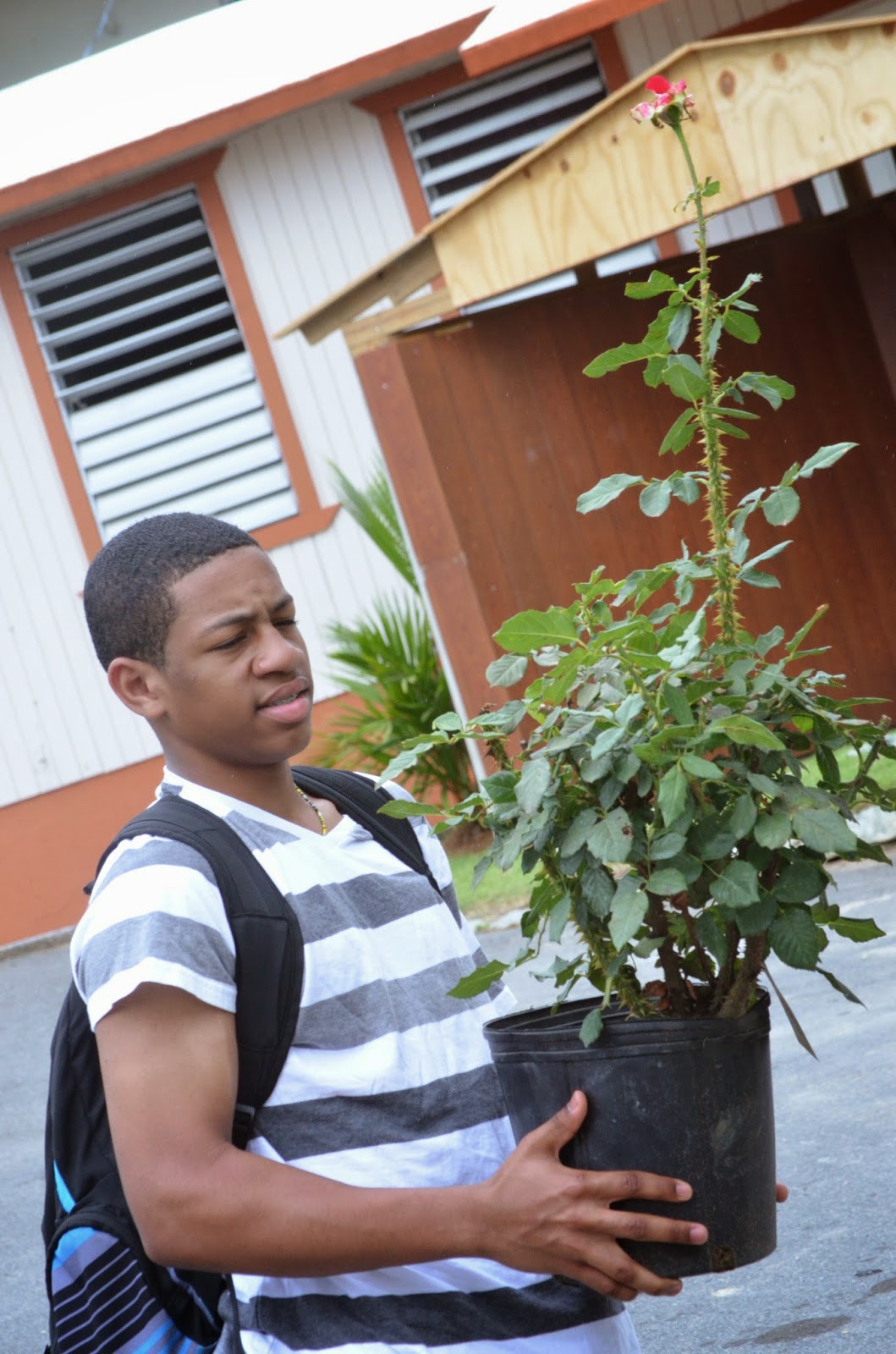 RTCA Puerto Rico Mission Trip: Helping Hands...Mission 2014