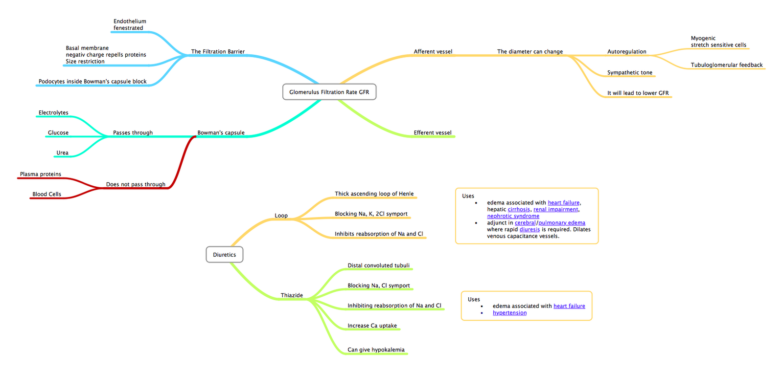 Links for Medical School: Mindmaps