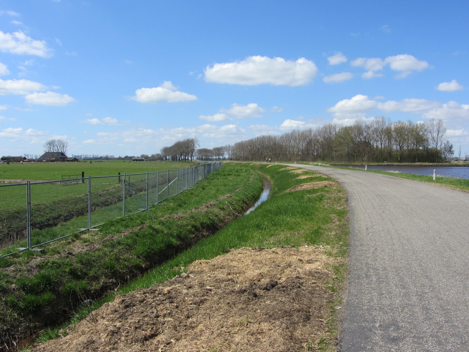NOORDHORN EN DE BRUGGEN: MEI- JUNI 2013