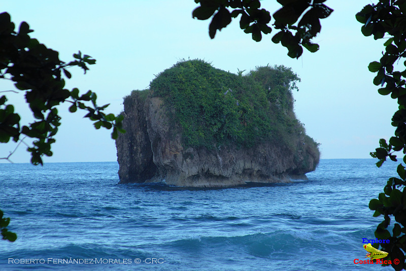 Playa Cocles de Limón | Explore Costa Rica