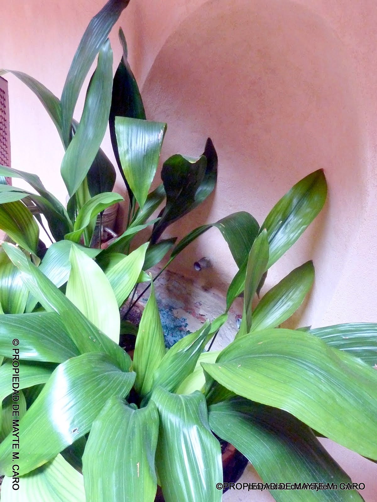 Pilones y Aljibes de Granada: 1/6/12 - 1/7/12