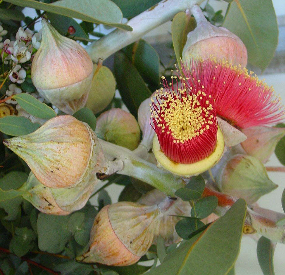 Snap Happy Birding: September 2011