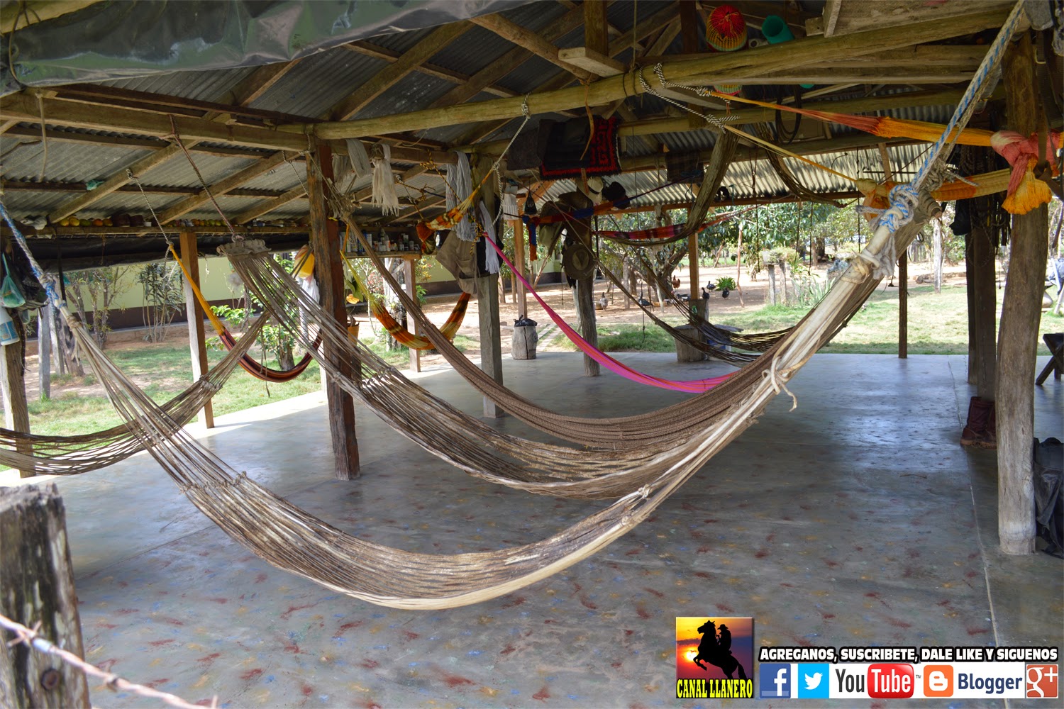 Canal Llanero : LA CAMPECHANA LA HAMACA DEL LLANERO