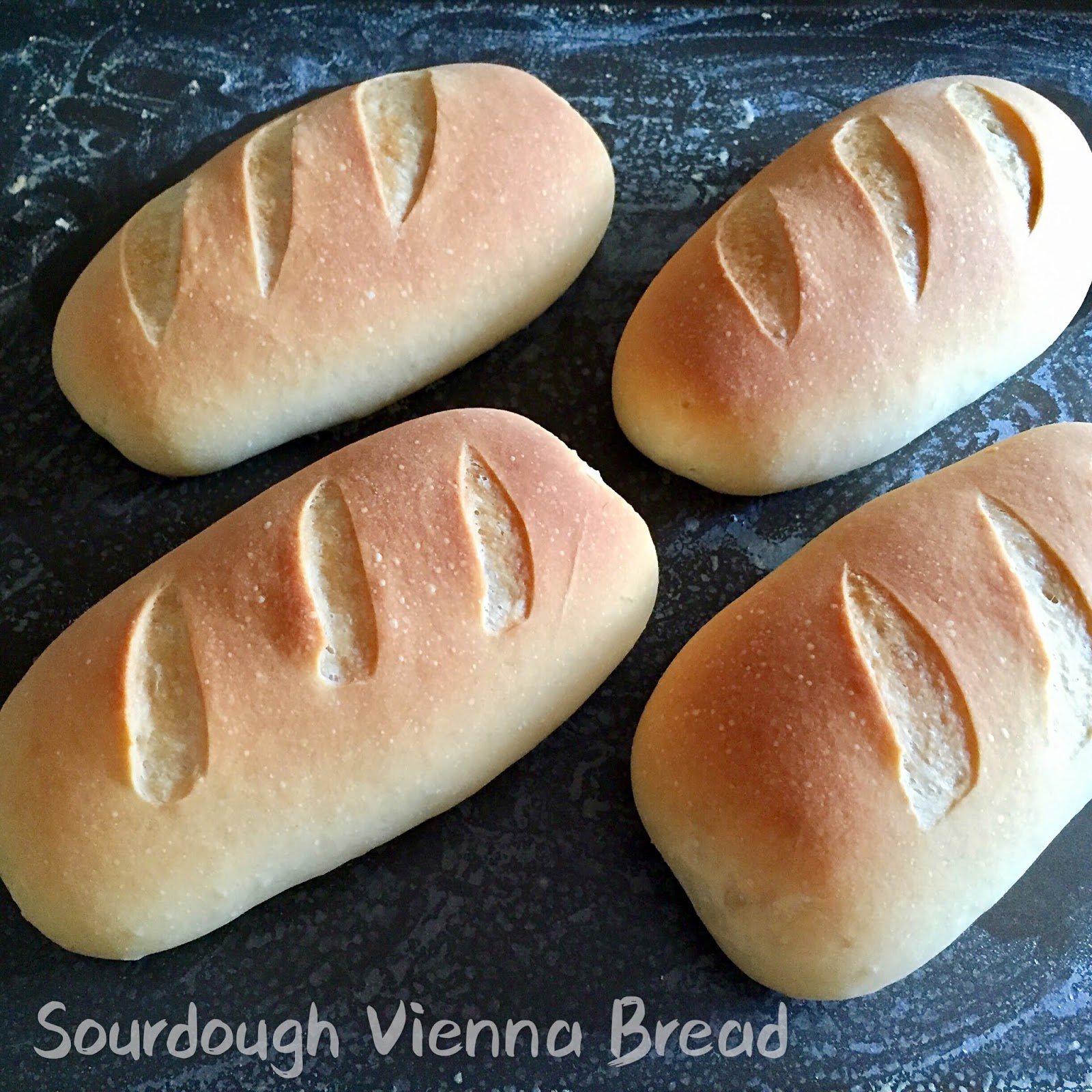 My Mind Patch: Sourdough Vienna Bread 酸种维也纳面包