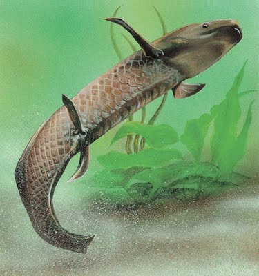 Artes de Pesca: VAMOS A PESCAR PECES PULMONADOS