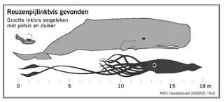 'ZIEN EN WETEN': INKTVIS. WAT IS DAT?