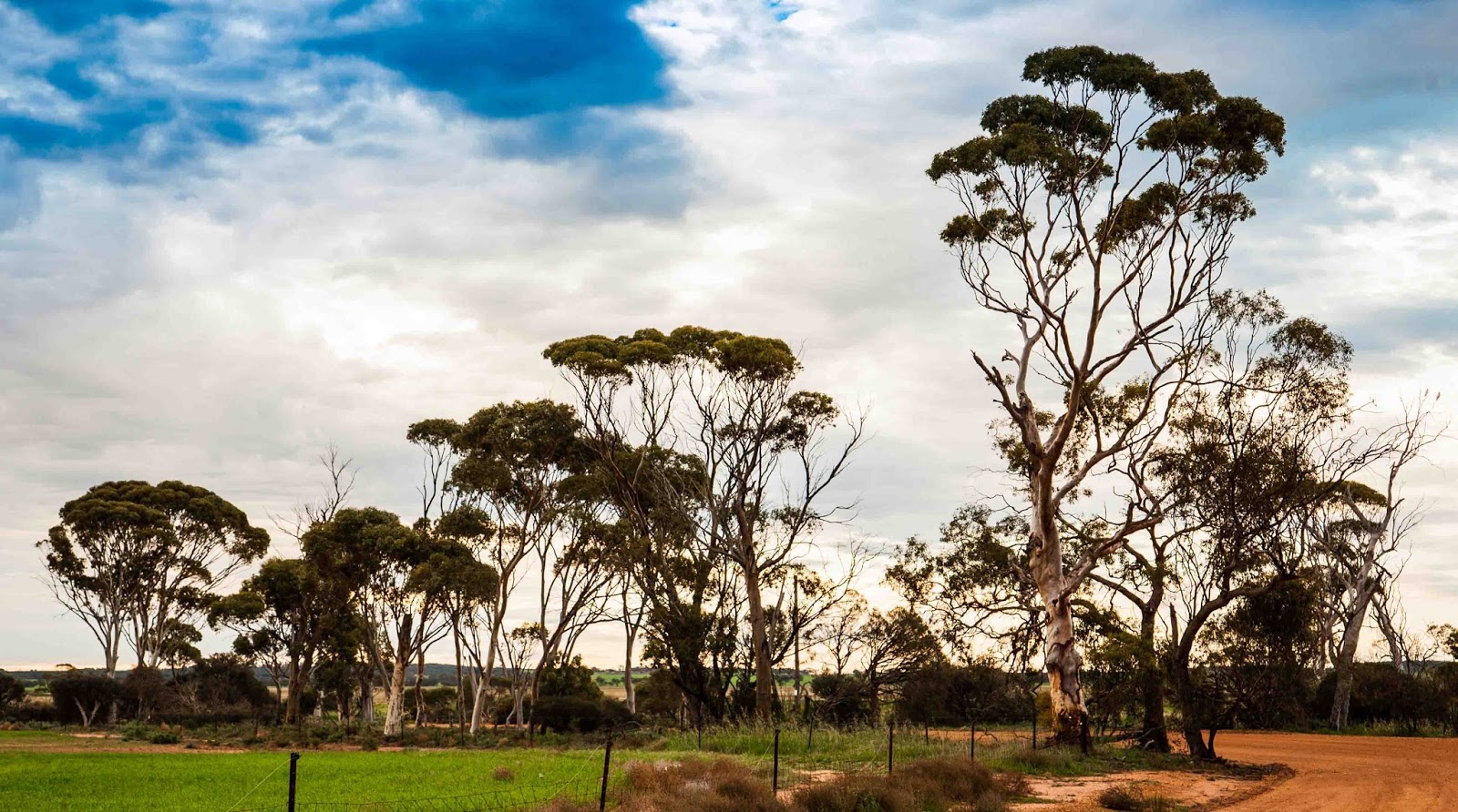 Carnamah in 2015: Photographs by Alan Malone - Carnamah Historical ...