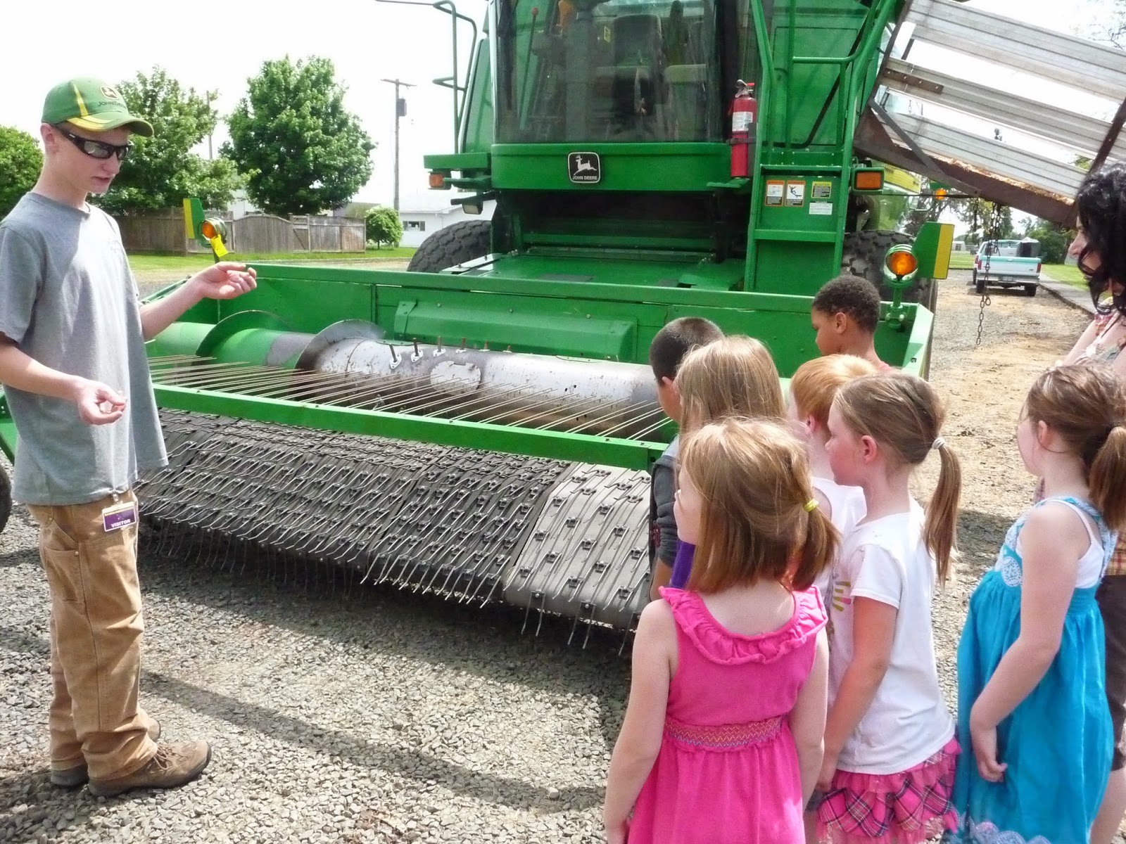 Mrs. Bowers' First Grade Stars: Grass Seed Day!