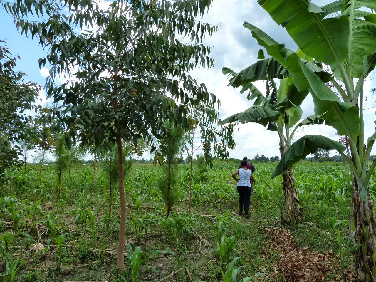 Leanne Visits Uganda October 2013: LIFE ON A SUNDAY