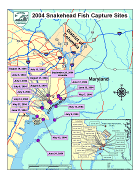 Snakehead Fish In Usa Map - United States Map