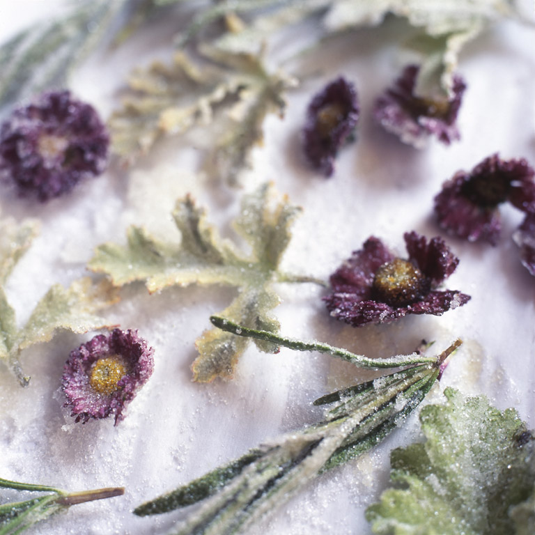 Life of a dreamer: Editorial Photography Basics