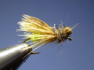 Apple Caddis - Spent-wing