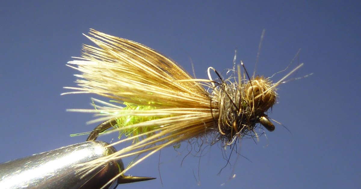 Apple Caddis - Spent-wing
