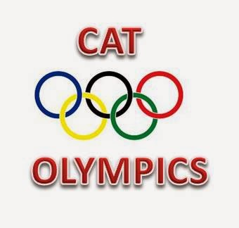 All My Kitties: Cat Olympics close