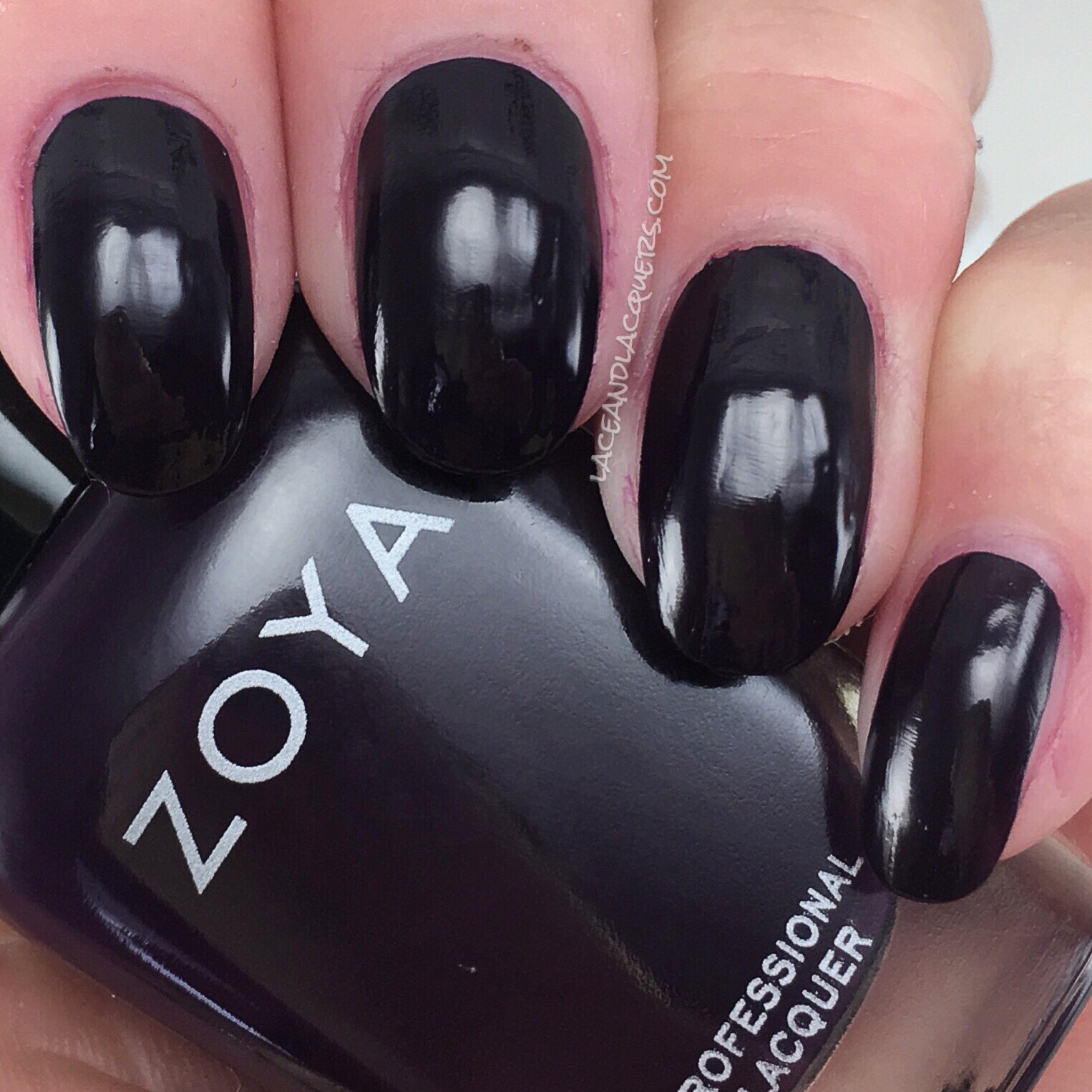 Lace and Lacquers: ZOYA: Fall 2018 Element Collection PART II [Gardner ...