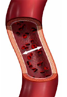 MECÁNICA DE FLUIDOS EN LA SANGRE