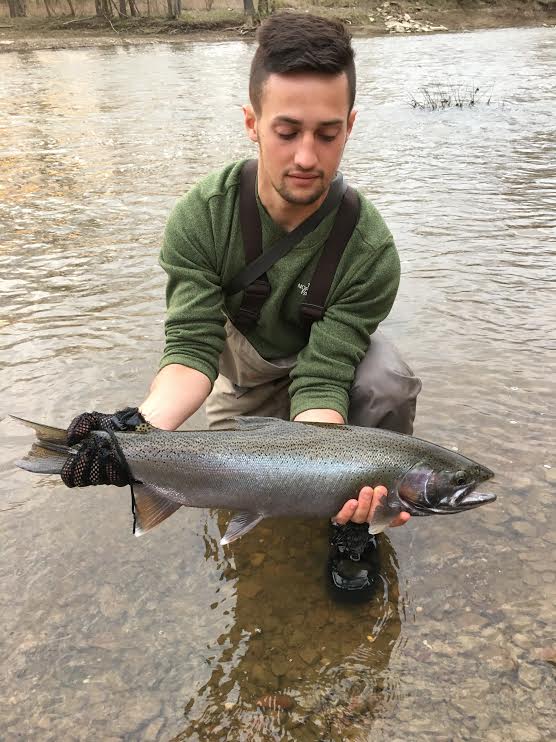 Mad River Outfitters: Fishing Reports- 4/21/17